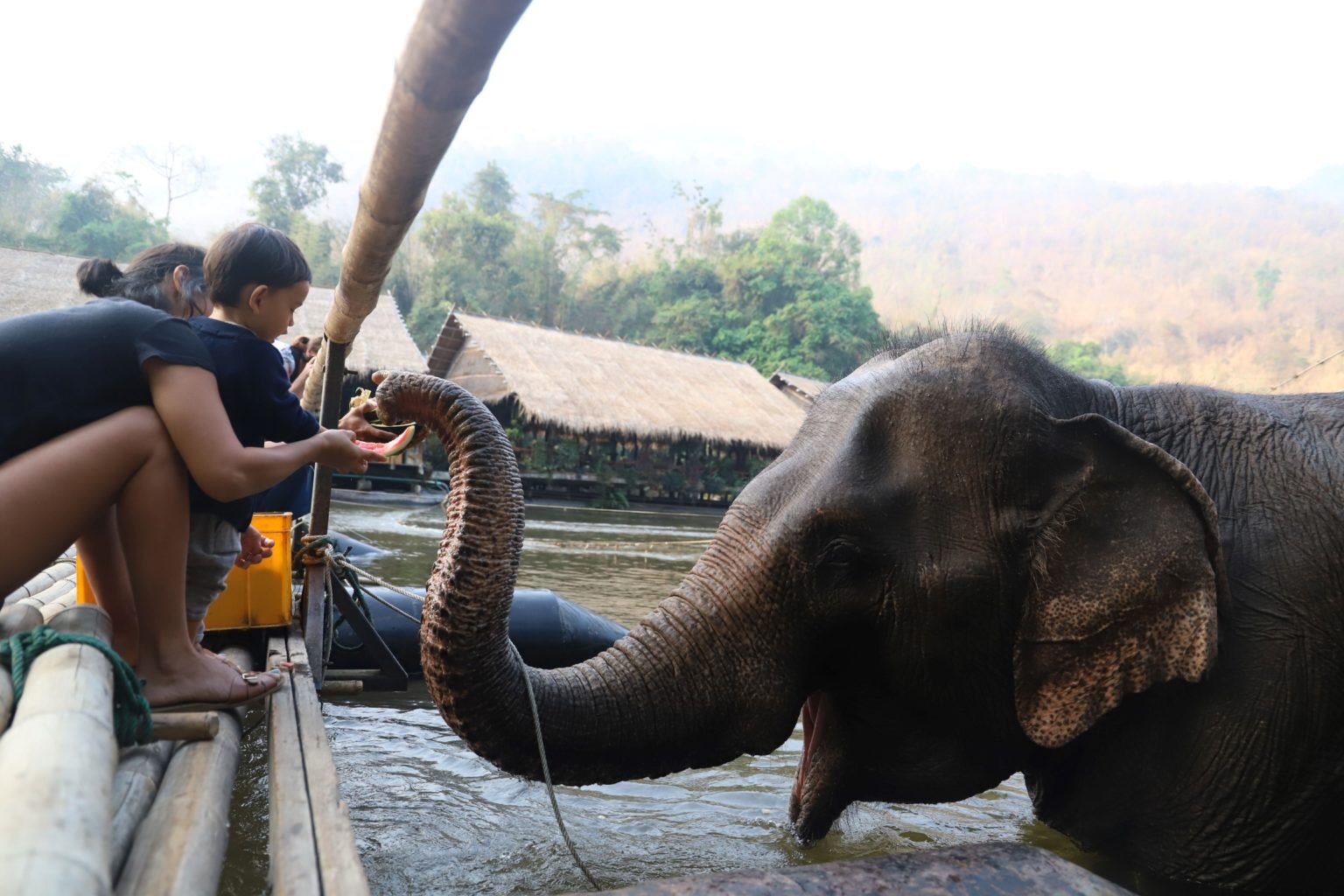 A Jungle Trip on the River Kwai | Mapball Adventures